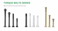 China Grade 12.9 SCM Alloy Steel Torque Bolt Series Wheel Fastener for Heavy Duty Truck for sale