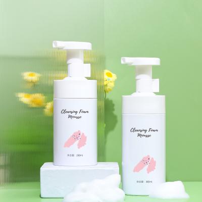 China 100ml-200ml Leakproof PET Foam Pump Bottle for Facial Cleansers and Hand Wash for sale