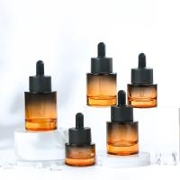 China Customizable Leak-Proof Glass Dropper Bottle with Precision Dropper for Serum and Essential Oil Packaging for sale