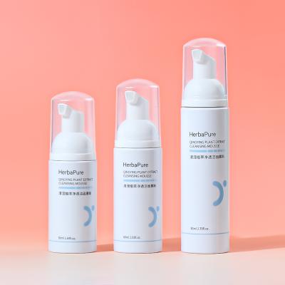 China Customizable Eco-Friendly PET Foam Pump Bottle with Leak-Proof Foaming Dispenser for Skincare for sale