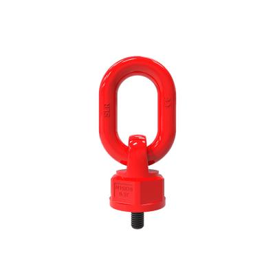 China SLR304-G80 Lifting Screw Point - G80 Alloy Steel Forged Load Pin with 2.5x WLL Proof Testing for sale