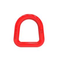 China SLR036-G80 Forged D Ring with 2.5T to 8T Working Load Limit and EN818-2 Certification for sale