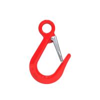 China SLR115-ALLOY EYE HOOK WITH LATCH for sale