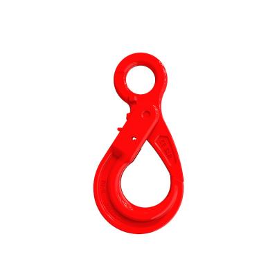 China SLR765-G80 EUROPEAN TYPE EYE SELF-LOCKING HOOK for sale