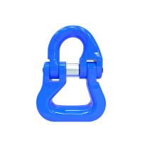 China SLR1079-G100 SPECIAL CONNECTING LINK for sale