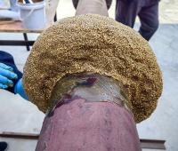 China Yellow Profiling Mastic For Rregular Shaped Fittings Sealing for sale