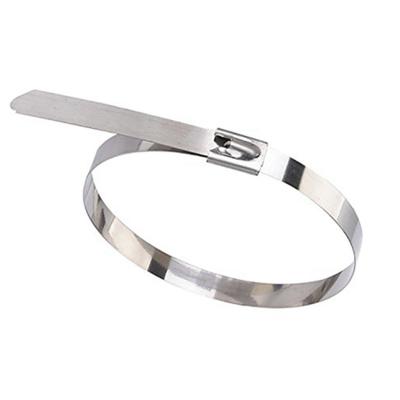 China 11.8 Inch Nature / Black Stainless Steel Cable Tie 4.6*300mm SS316 Cable Tie for sale
