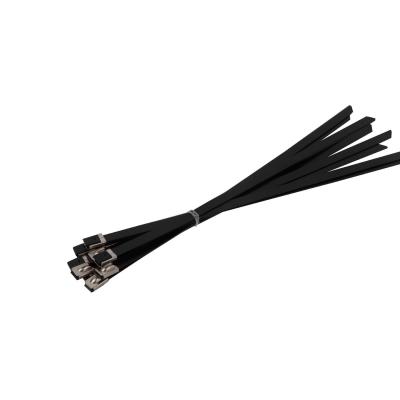 China OEM Self Locking Stainless Steel Cable Ties EPOXY Coated Polyester Coated for sale