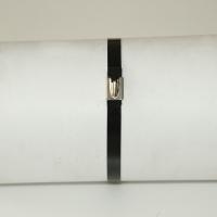 China UV Resistant Black 316 Stainless Steel Cable Ties Polyester Coated SS Zip Ties for sale