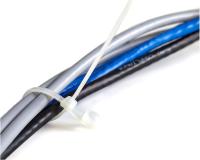 China 11 Inch Screw Hole Zip Ties Strong Black Nylon Cable Ties Indoor Outdoor Rated for sale