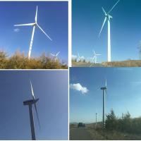 China 600W 24V Wind Turbine Generator NE-600M2 3 Phase AC PMG Off Grid Residential for sale