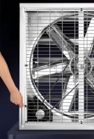 China 1000mm Industrial Exhaust Fan 34000 m³/h for Chicken Poultry Farm Ventilation for sale