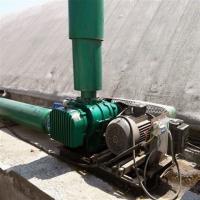 China 15hp Three Lobe Roots Blower Model 100 Direct Drive 50-200A Caliber for Aeration for sale