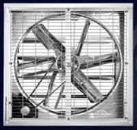 China 48 Inch Wall Mounted AC Extractor Fan with Siemens Motor for Greenhouse Ventilation for sale