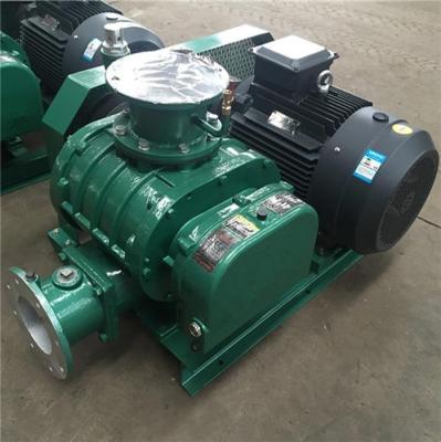 China Efficiently Boost Your Production with Our Customized Roots Blower Vacuum Pump for sale