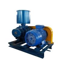 China Efficiently Boost Your Production with Our Customized Roots Blower Vacuum Pump for sale