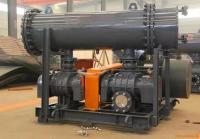 China Efficiently Boost Your Production with Our Customized Roots Blower Vacuum Pump for sale