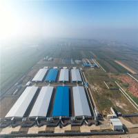 China Reliable Durable Steel Structure Poultry House for Chickens with Automation for sale