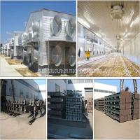 China Premium Chicken Coop with Durable Steel Structure and Automation for sale
