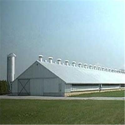 China Durable Automatic Steel Structure Poultry House for Chickens in All Weather for sale