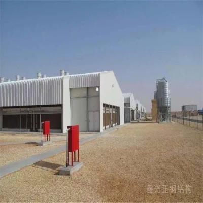 China Galvanized Heavy-Duty Steel Structure Poultry House for Chickens for sale