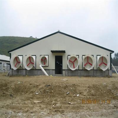 China Advanced Automatic Poultry House for Optimal Chicken Farming for sale