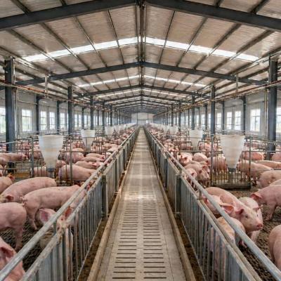 China Steel Structure Slaughterhouse Buildings for Modern Meat Processing and Production Facilities for sale