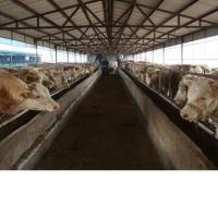 China Steel Structure Slaughterhouse Buildings for Modern Meat Processing and Production Facilities for sale