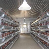 China Durable Steel Slaughterhouse Solutions with Hygienic Design and Fast Installation Services for sale