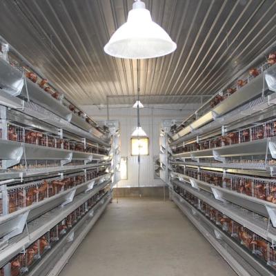 China Durable Steel Slaughterhouse Solutions with Hygienic Design and Fast Installation Services for sale