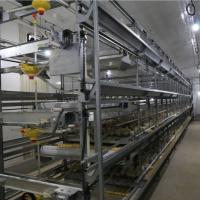 China Durable Steel Slaughterhouse Solutions with Hygienic Design and Fast Installation Services for sale