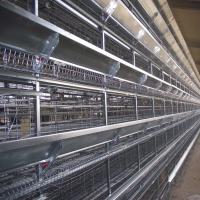China Durable Steel Slaughterhouse Solutions with Hygienic Design and Fast Installation Services for sale