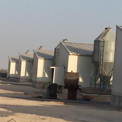 China Custom Steel Structure Building Abattoir for Efficient Livestock Processing Operations Worldwide for sale