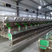 China Custom Steel Structure Building Abattoir for Efficient Livestock Processing Operations Worldwide for sale