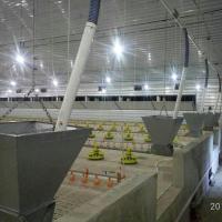 China Fast Installation Steel Slaughterhouse Buildings with Custom Layout and Workflow Design for sale
