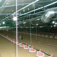 China Corrosion Resistant Steel Structure Construction Slaughterhouse Abattoirs for Long Industrial Food Use for sale
