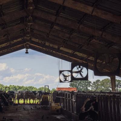 China Professional Steel Slaughterhouse Manufacturer Providing Turnkey Building Project Solutions Worldwide for sale