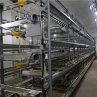 China Durable Steel Hog Farm Solutions with Fast Installation and Long Service Life for sale