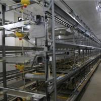 China Custom Steel Structure Hog Farm Designs for Efficient Commercial Pig Raising for sale