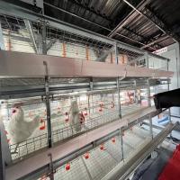 China Prefabricated Steel Structure Hog Farm Houses for Cost Effective Farming Projects for sale