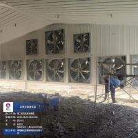 China High-Quality Steel Structure Building for Modern Sheep and Cow Farming Facilities for sale