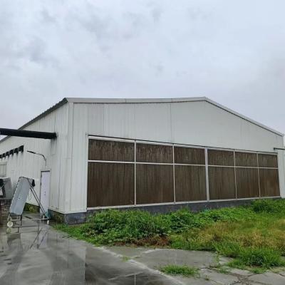 China Durable Steel Structure Construction Solutions for Modern Cattle and Sheep Barn Buildings for sale