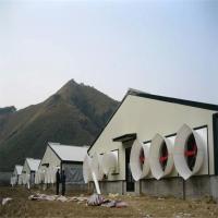 China Reliable Automatic Steel Structure Poultry House for Chickens Outdoors for sale