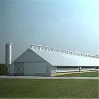 China Reliable Automatic Steel Structure Poultry House for Chickens Outdoors for sale