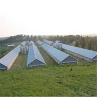 China Weatherproof Durable Steel Structure House for Chickens with Automatic Features for sale