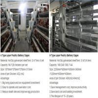 China Weatherproof Durable Steel Structure House for Chickens with Automatic Features for sale