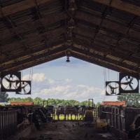 China Glavanized Prefabricated Light Steel Structure Daily Farm Cow Shed Poultry Farm House for sale