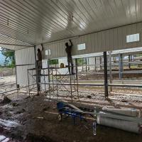 China Chicken Houses Assembled with Composite Insulation Panels Are Designed for sale