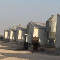 China Durable Poultry House Shelter for Chickens and Birds for sale
