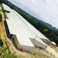 China All-Natural Family Farm Chicken - Sourced From Sustainable Farms for sale